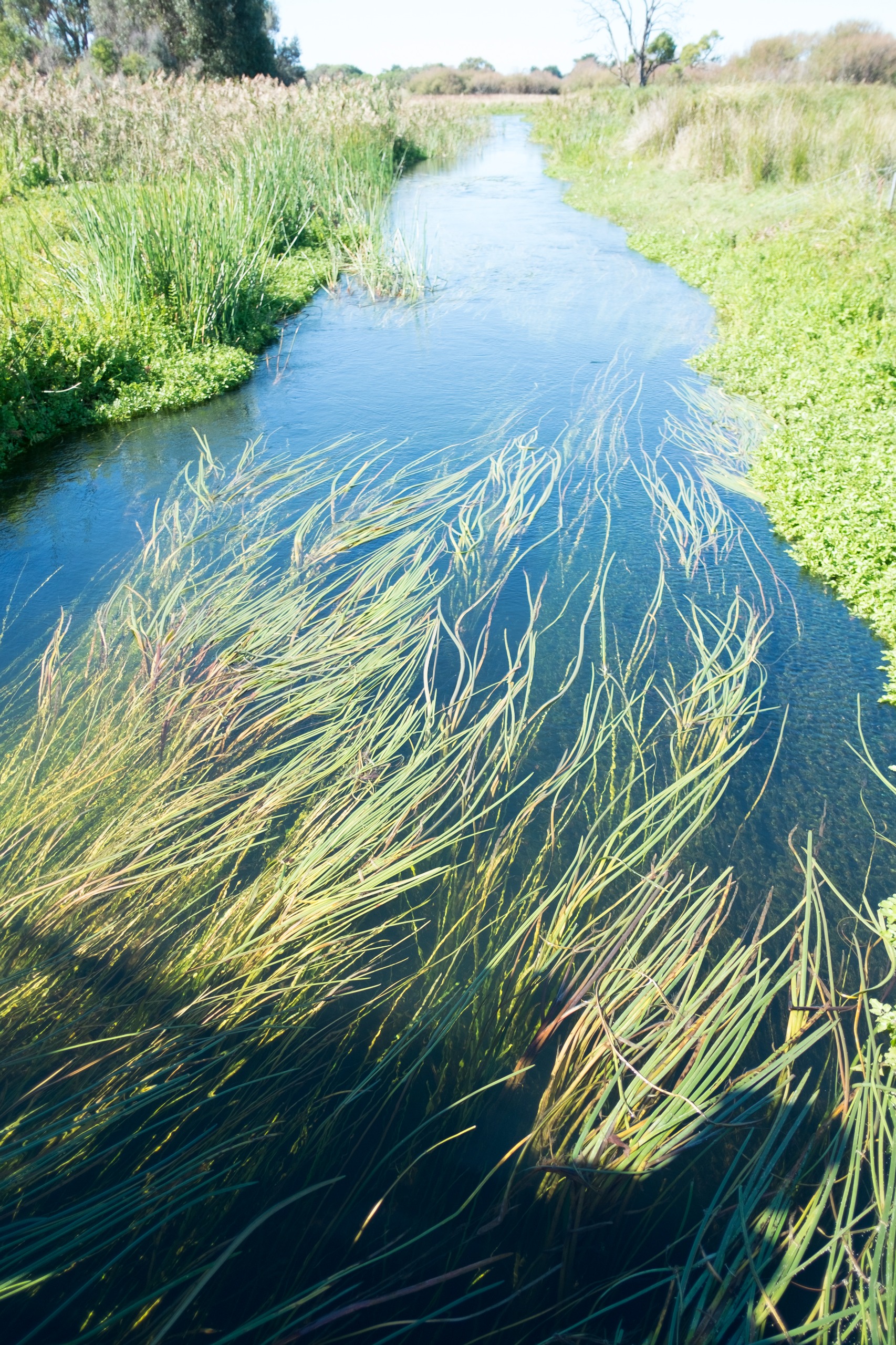 Every Drop Counts | Wannon Water’s Engage & Explore